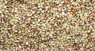 Benefits Of Horse Gram: रोजाना कुल्थी की दाल का सेवन कर स्पर्म काउंट ...