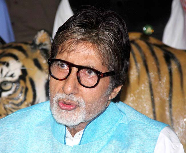 Amitabh Bachchan becomes Tiger Ambassador of Maharashtra - Latest News ...