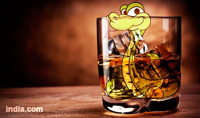 Weird drinks from the world that you’ll never dare to try | India.com