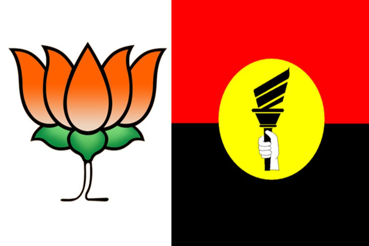 dmdk party flag