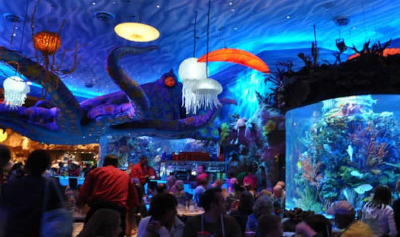 Giant fish tank bursts in a Disney restaurant, sprays water all over ...