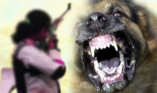 National shooter Tara Sahdev’s forced conversion leads to Ranchi ...