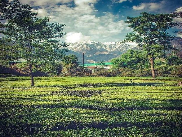 : Photos of Palampur | Pictures of Famous Places, Attractions of ...