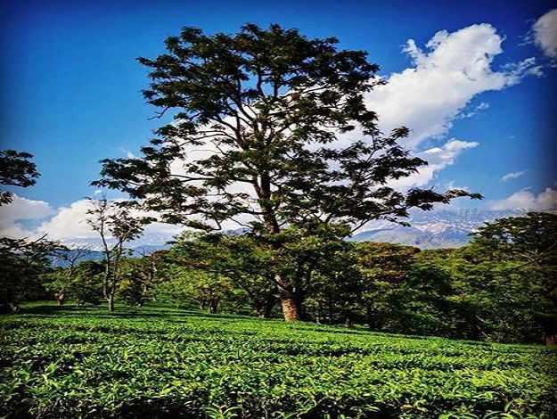 How to Reach Kangra | Kangra by Road, Train & Air | Travel Planning ...