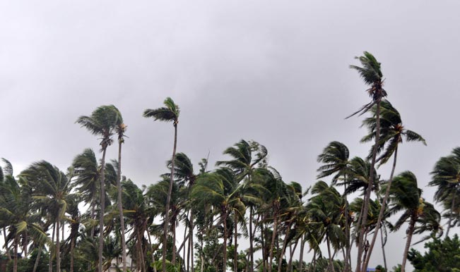 245 babies born on cyclone day in Odisha | India.com