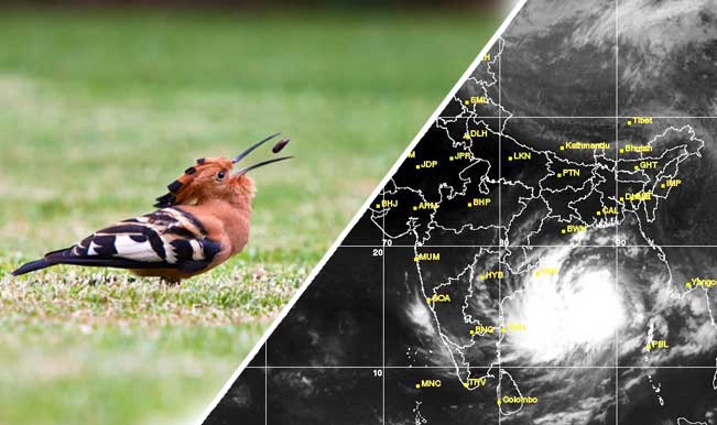 Cyclone Hudhud: Why is the severe storm called ‘Hudhud’? | India.com