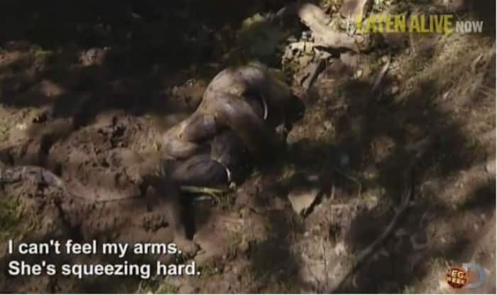 Man Eaten Alive by Anaconda: Watch Full Video of Paul Rosolie Eaten by ...