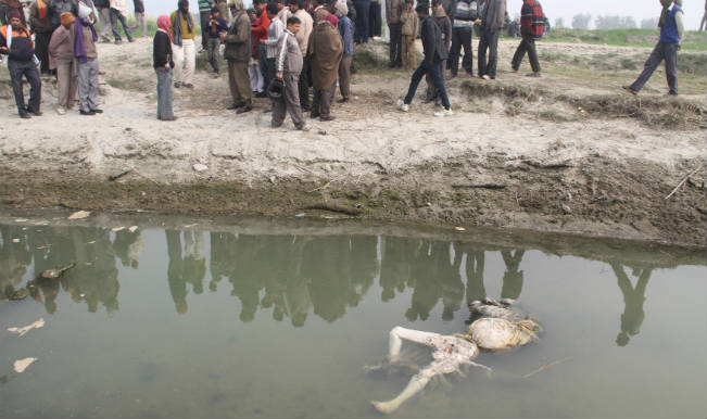 Curious recovery of 100 bodies from Ganga river in Uttar Pradesh ...