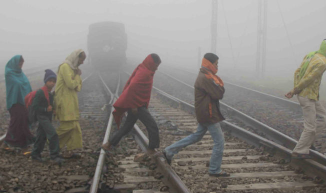 Intense cold, dense fog disrupt normal life in north | India.com