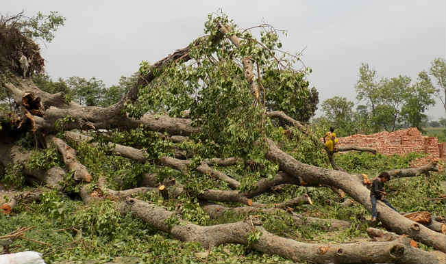 Storm toll rises to 54 in Bihar | India.com