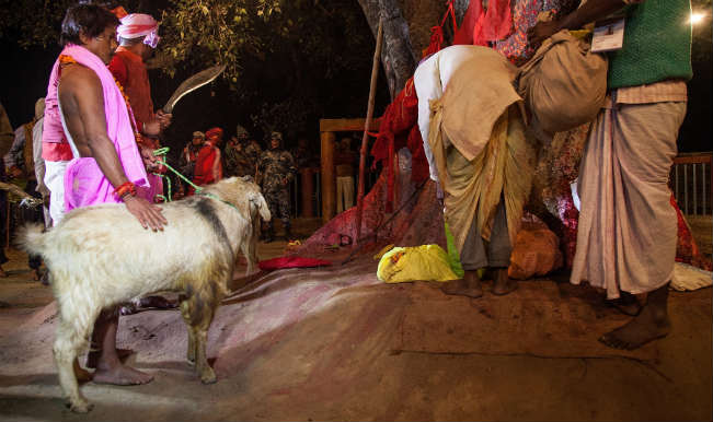Nepal temple bans traditional animal sacrifice ritual in Gadhimai ...