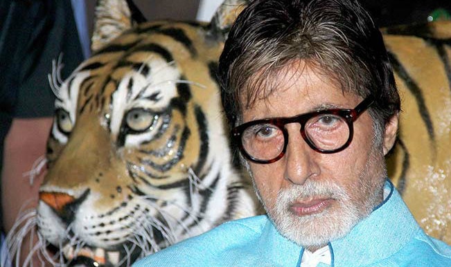 Amitabh Bachchan becomes Tiger Ambassador of Maharashtra - Latest News ...