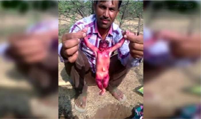 Alien found in Jodhpur? Picture of human-like creature goes viral on ...