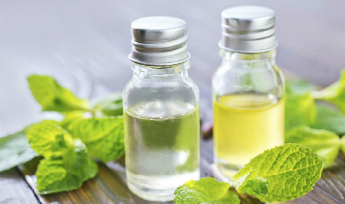 Mentha oil futures up on rising demand | India.com