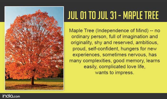 Which tree type best fits your personality? | India.com