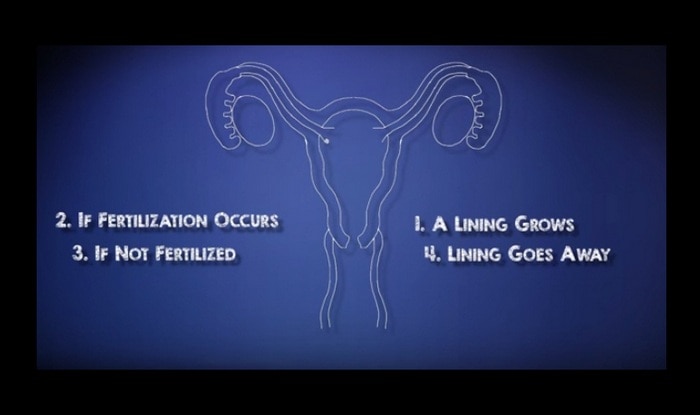 Why do women menstruate? Know about the Biology Behind Periods (Watch ...