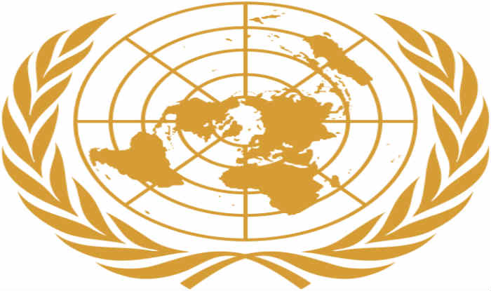 United Nation Organization Logo