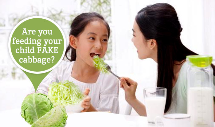 Watch how fake cabbage is made Japan: Video shows how adulterated ...