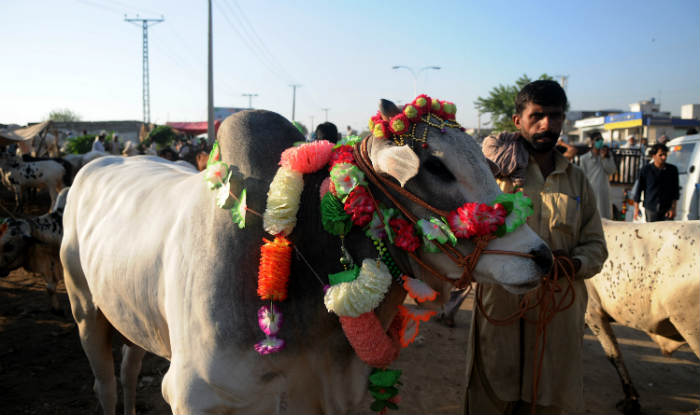 Now, Pakistan joins Dadri debate; Demands beef ban politics in India ...