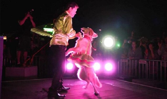 This dog is doing salsa with his owner | Viral video: इस कुत्ते ने अपने ...