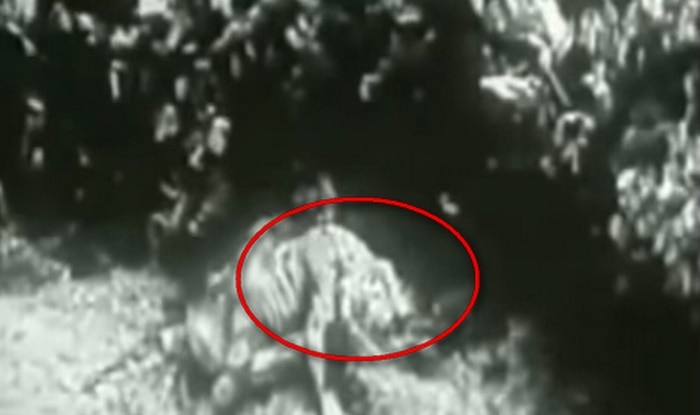 Tiger vs Giant Anaconda epic fight: Check out who wins! (Video) | India.com