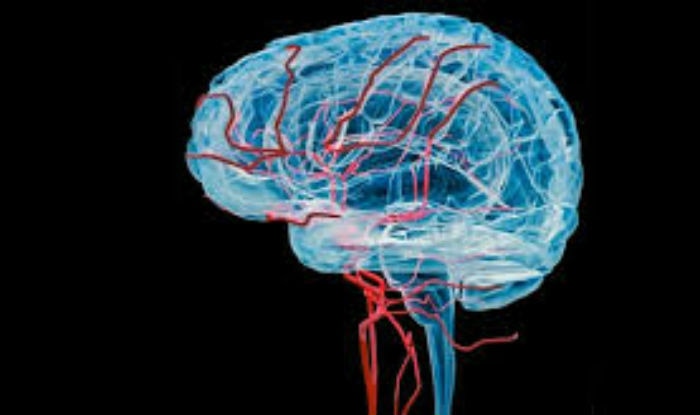 Hallucinations linked to changed structures in brain | India.com