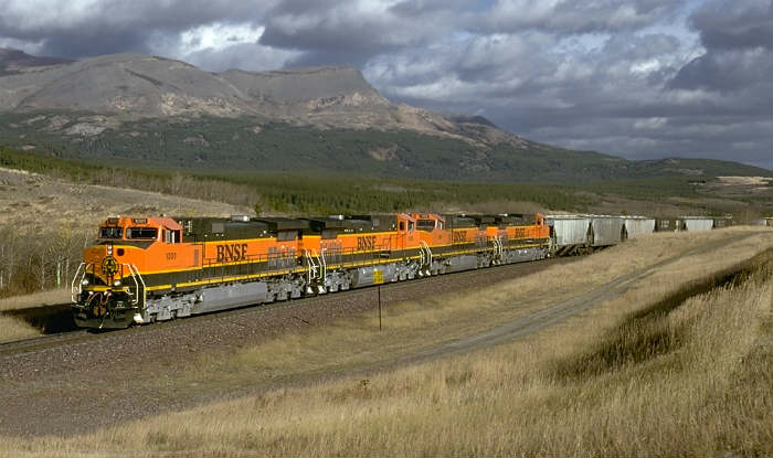 Georgia welcomes first cargo train from China | India.com