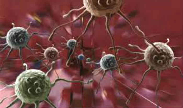 Another contagious form of cancer discovered | India.com