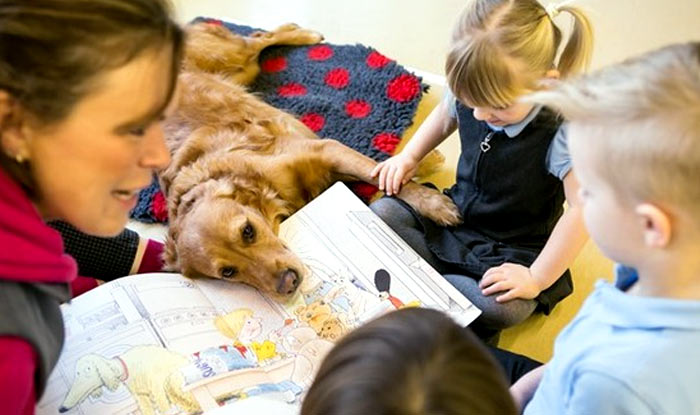 Dogs listening to children reading books is the cutest thing you will ...