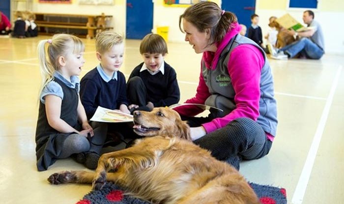 Dogs listening to children reading books is the cutest thing you will ...