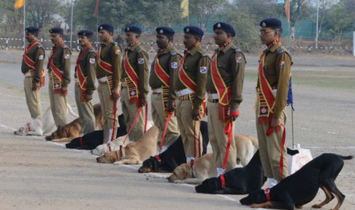 Republic Day Parade 2016: Watch adorable Army dog squad walk at Rajpath ...