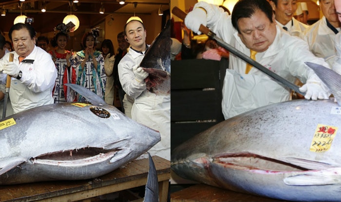 Japan: Bluefin tuna World's Most Expensive Fish | दुनिया की सबसे महंगी ...