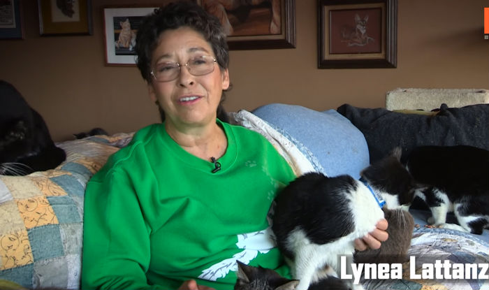 The ultimate cat lover! This woman lives with 1000 cats at her home ...