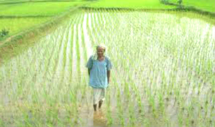 Andhra Pradesh aims to train 1.5 lakh farmers in organic farming ...