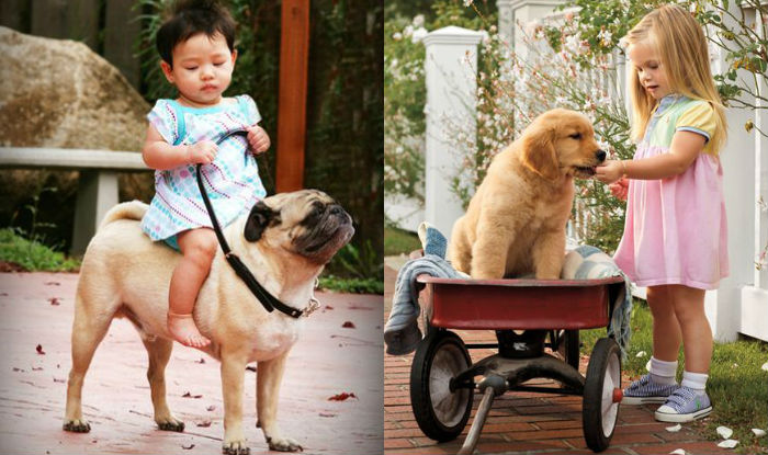 Watch how these cute babies take their dogs out for a walk! | India.com