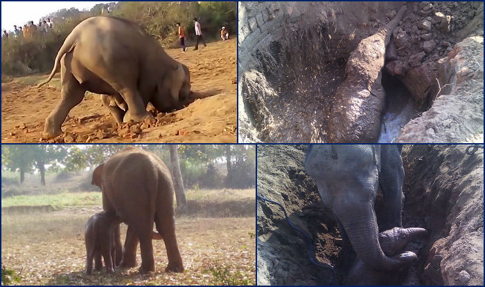 Heart-wrenching story of mother desperately trying to save baby ...