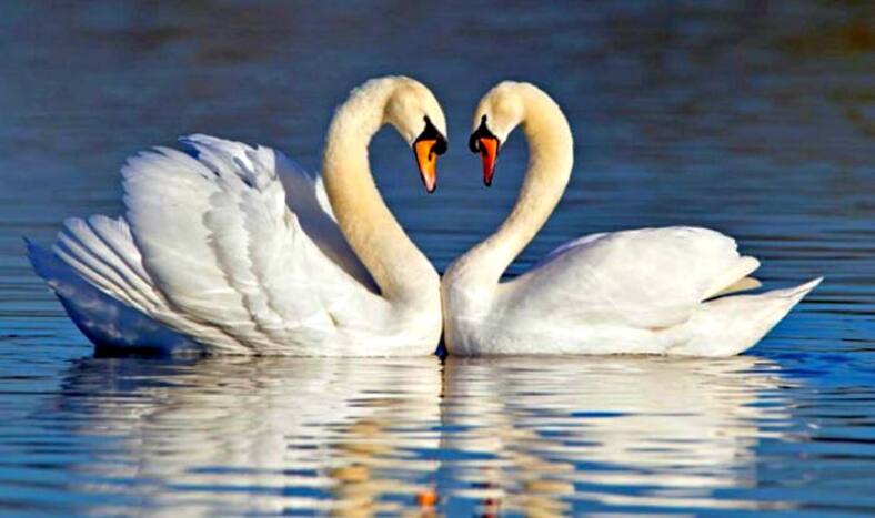 If You Had To Describe Love In 3 Words What Would They Be India if-you-had-to-describe-love-in-3-words-what-would-they-be-india