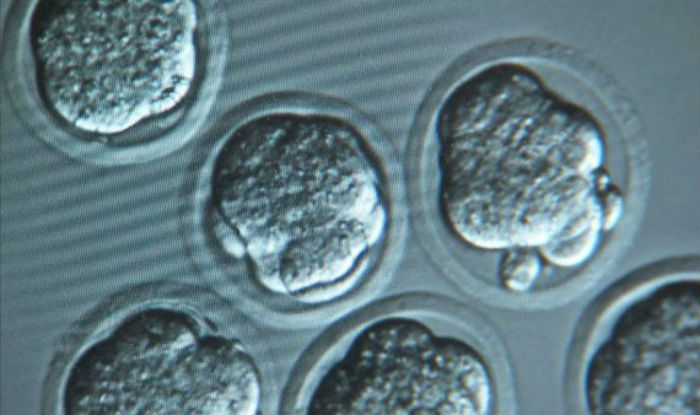 British scientists allowed to genetically modify human embryos | India.com