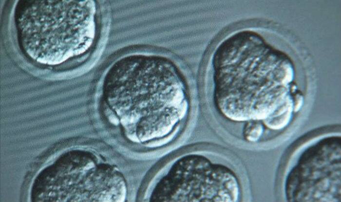 British scientists allowed to genetically modify human embryos | India.com