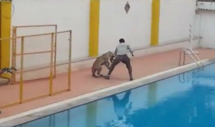 Leopard enters Vibgyor school premises in Bengaluru (Watch Video ...
