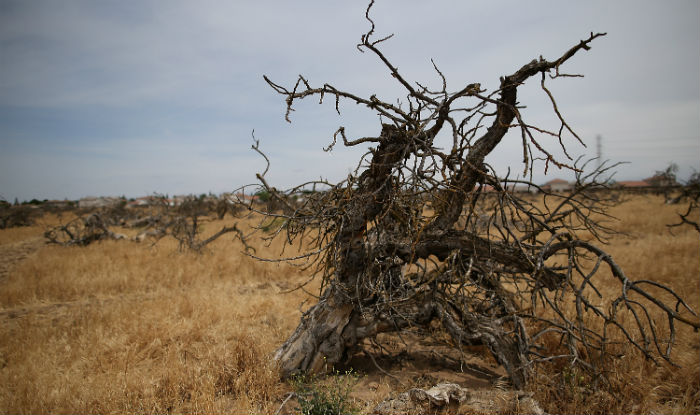 NASA: Drought in 1998-2012 in Mideast worst in 900 years | India.com
