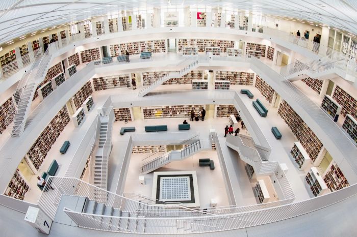6 Craziest libraries in the world book lovers would want to lose ...
