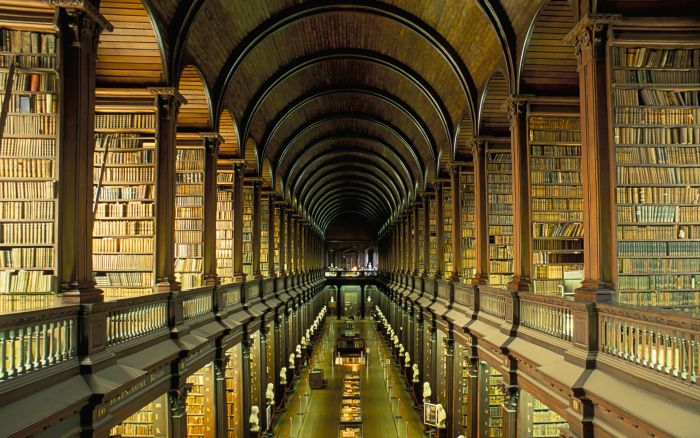 6 Craziest libraries in the world book lovers would want to lose ...
