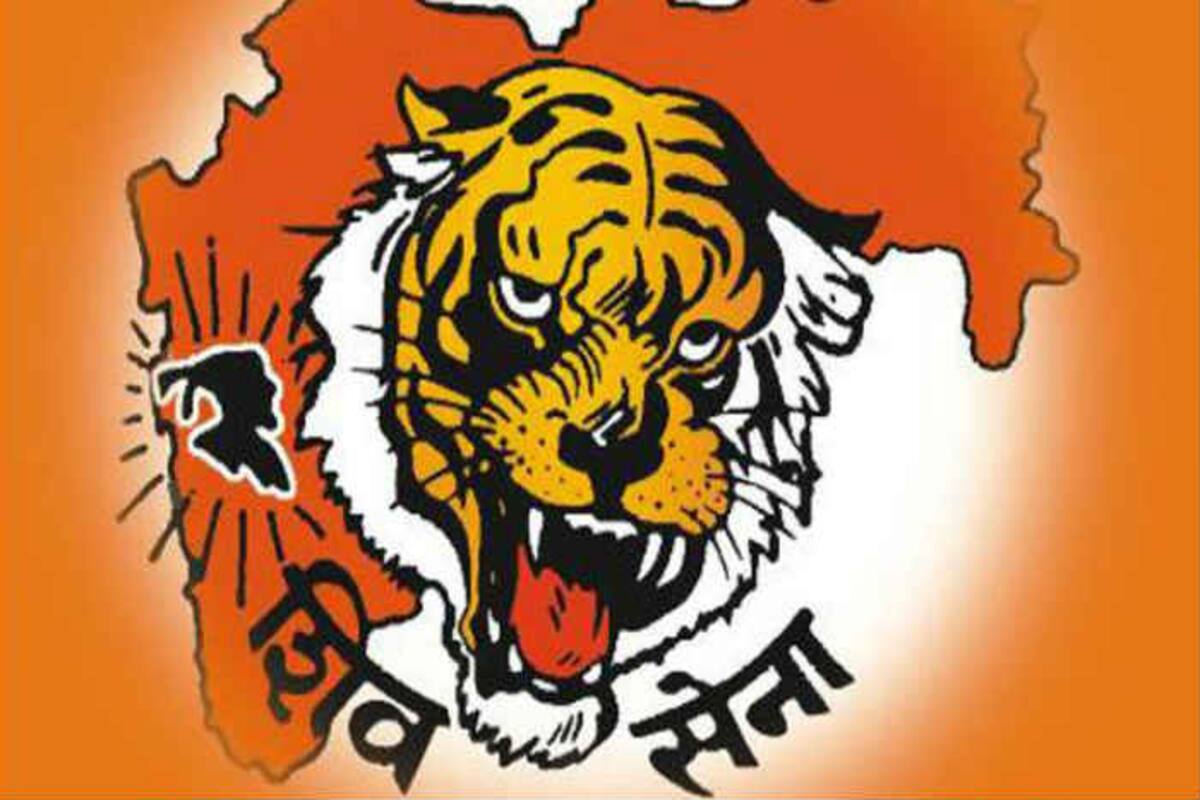 Aimim Tiger Logo