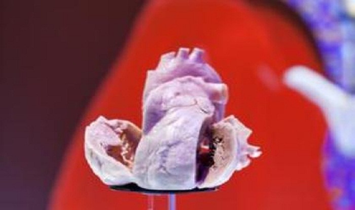3D human heart tissue created from stem cells | India.com