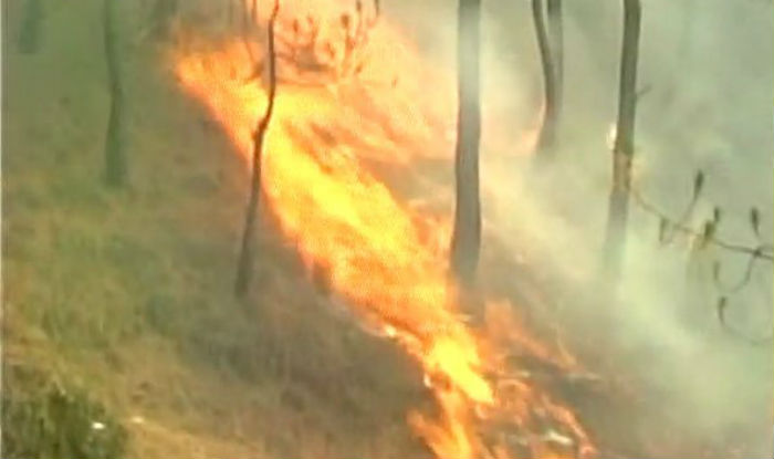 Forest fires ravage 3,000 hectares in Himachal Pradesh | India.com