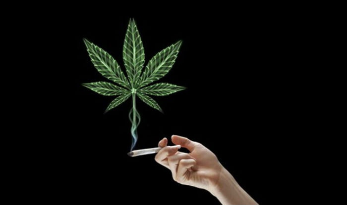 Haryana: 3 held for possession of over 4 kg ganja | India.com