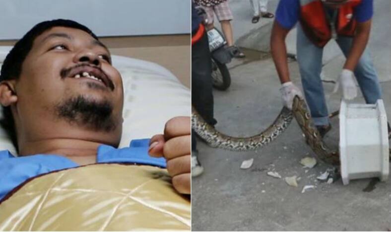 OMG! Python emerges from toilet, bites Thai man’s penis (Watch video ...