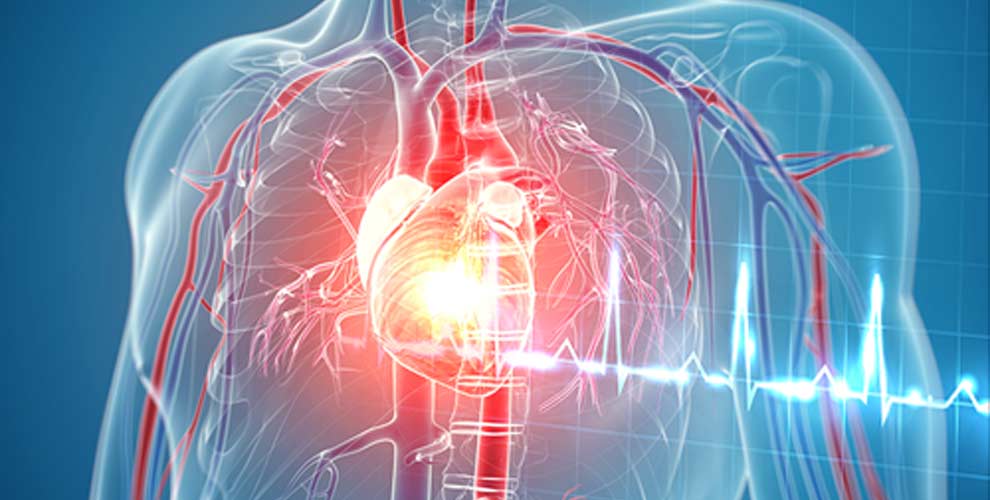 Kolkata: First Human to Human Heart Transplant Surgery Conducted in a ...