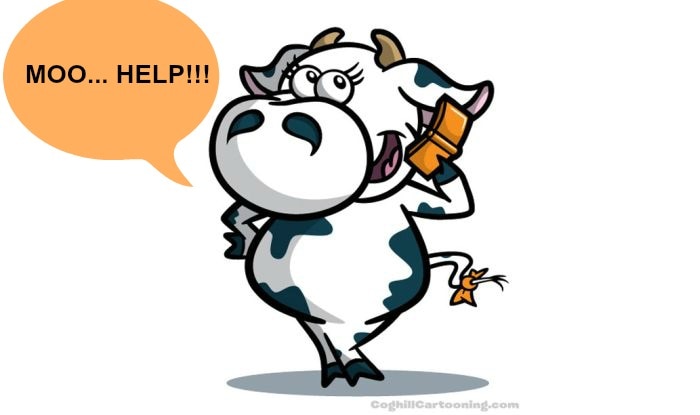 Haryana sets up 24 hour helpline for cows! | India.com